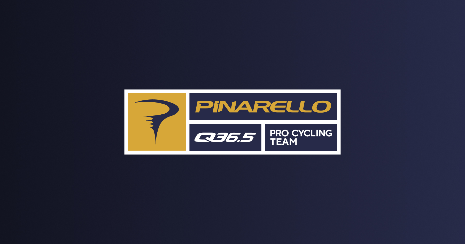 Pinarello Q36.5 Pro Cycling Team
